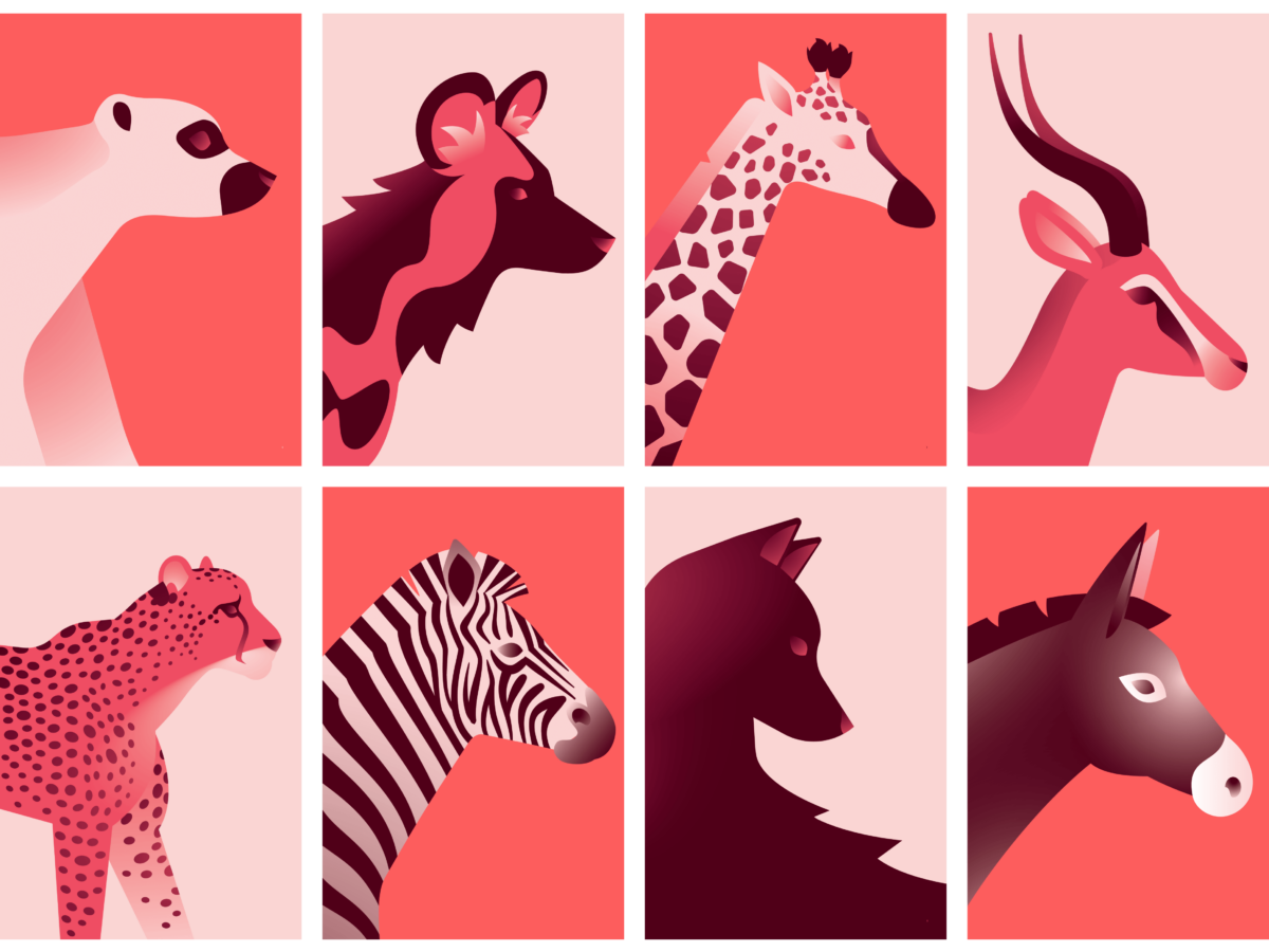 IUCN Save Our Species - Neuralab