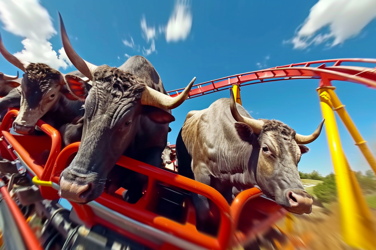 The bull run yell, is boring as hell - Neuralab